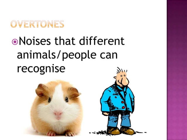 Sound revision powerpoint | PPTX