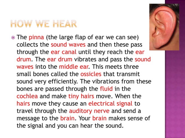 Sound revision powerpoint | PPTX