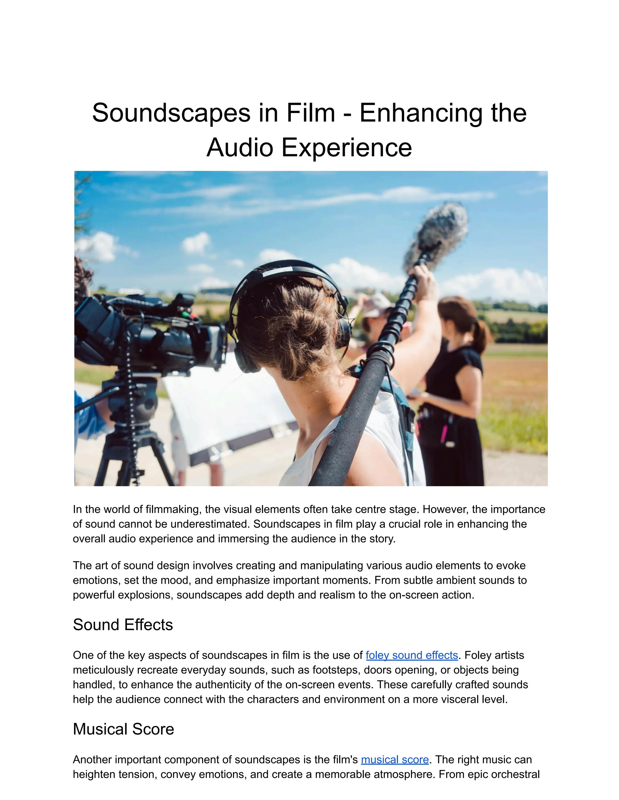 Soundscapes in Film - Enhancing the Audio Experience.pdf