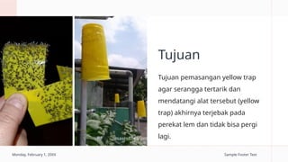 Materi Soundslide Pembuatan Yellow Trap | PPTX
