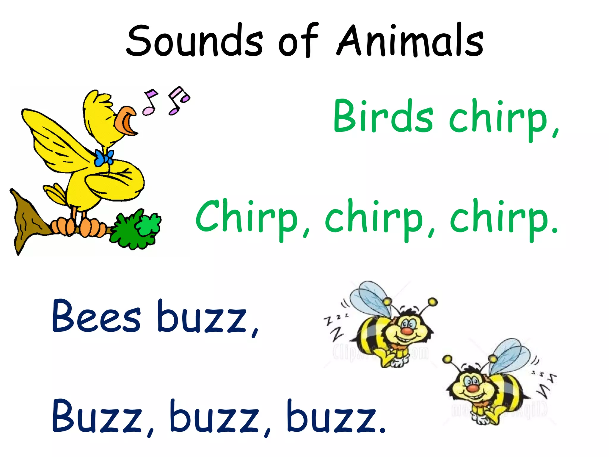 Sounds of animals | PPT | Birds | Pets