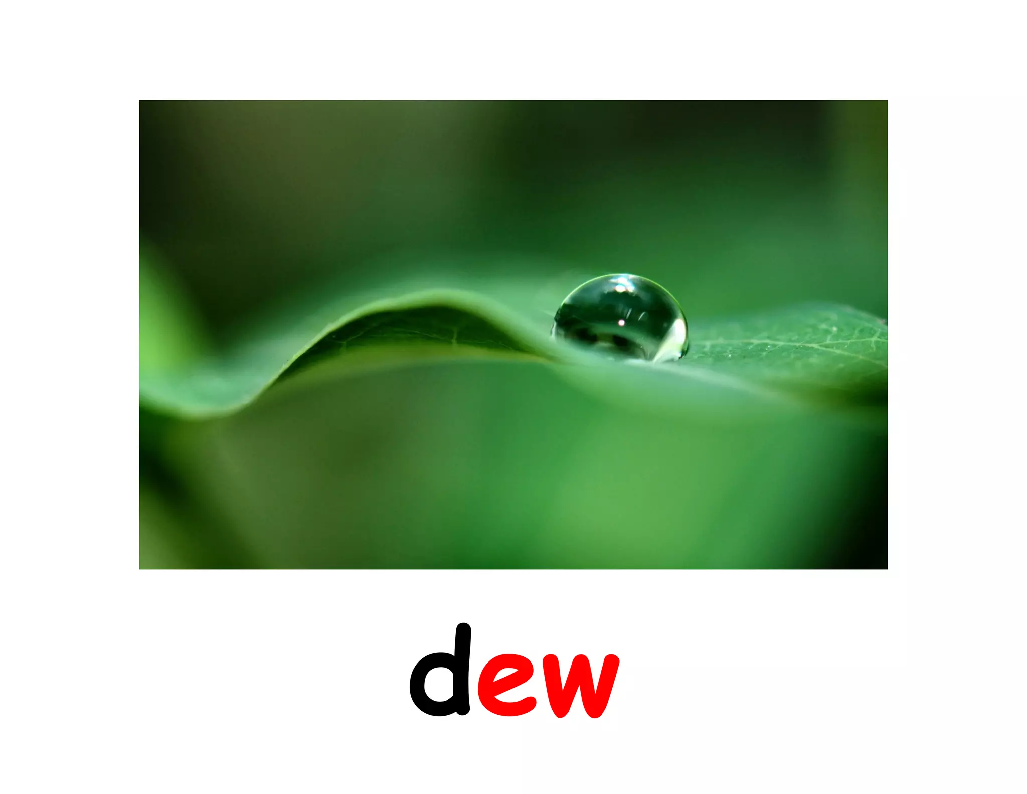 Sounds of ew and oe | DOC