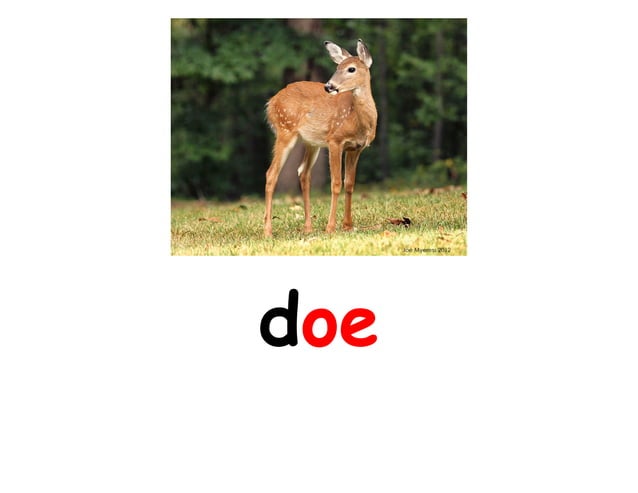Sounds of ew and oe | DOC
