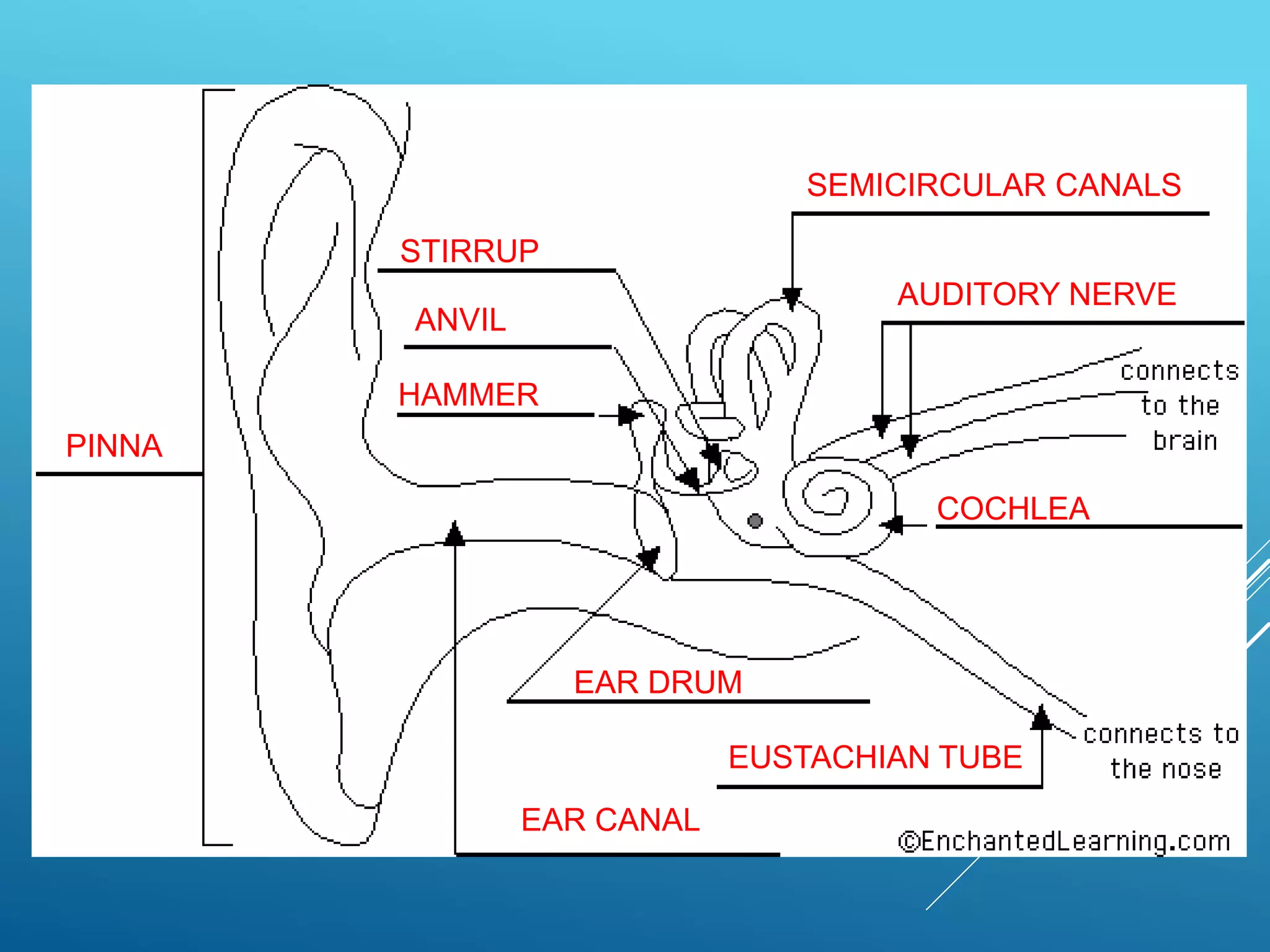 Sound waves.ppt