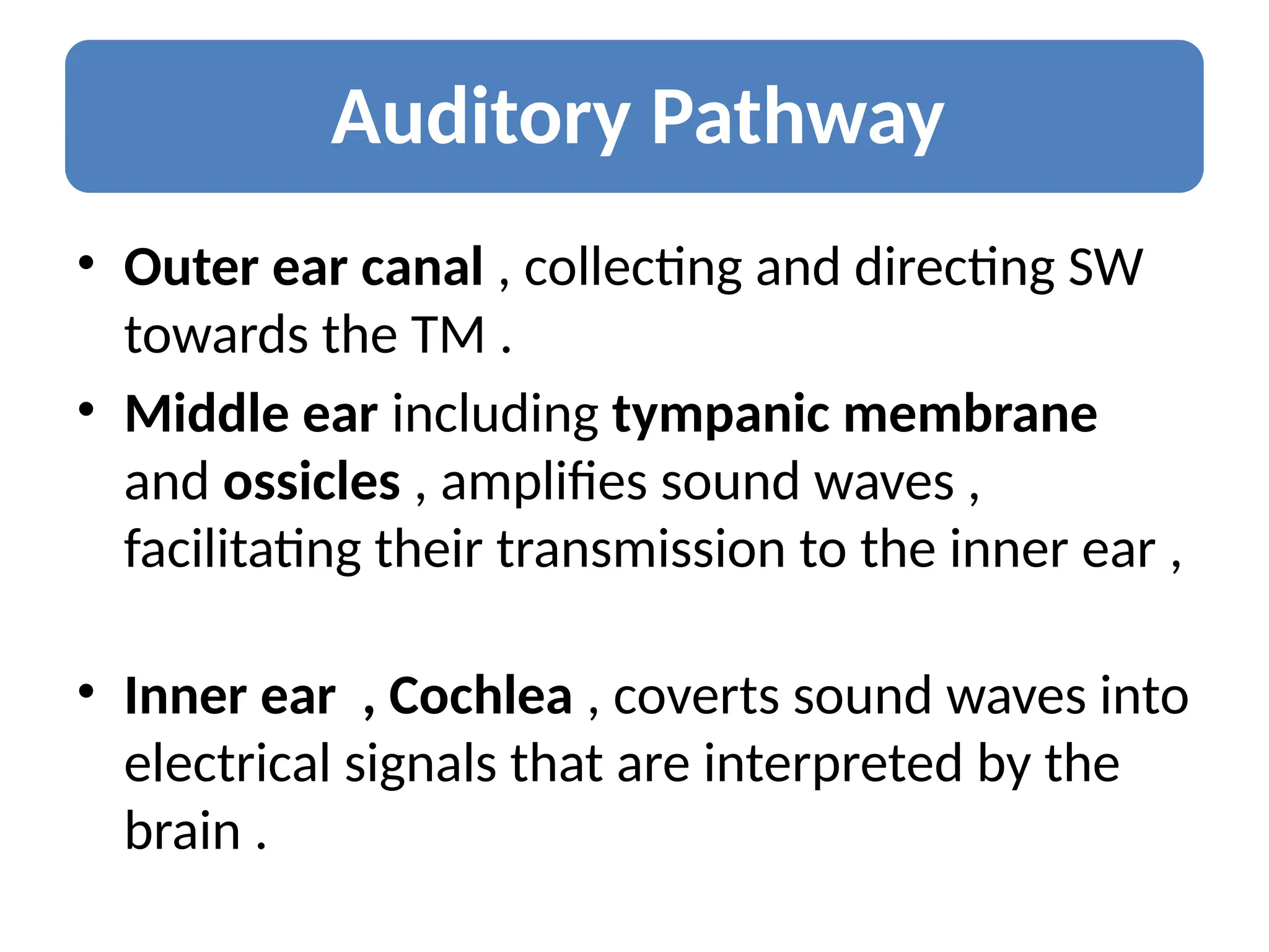 SOUNDWAVES What is sound wave Types of sound waves Sound waves ...