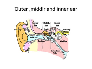 SOUNDWAVES What is sound wave Types of sound waves Sound waves ...