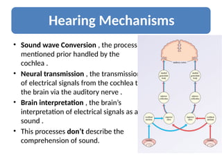 SOUNDWAVES What is sound wave Types of sound waves Sound waves ...