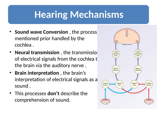 SOUNDWAVES What is sound wave Types of sound waves Sound waves ...