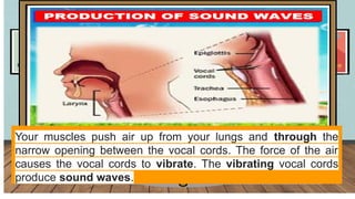 Lesson 5: Sound Waves Science 8 20242025.pptx