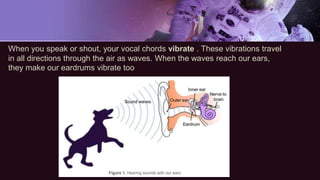 Sound Waves in the outter space.pptx
