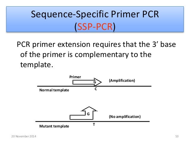 transposon mediated mutagenesis