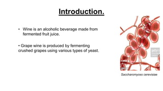 WINE PRODUCTION STEPS. | PPT