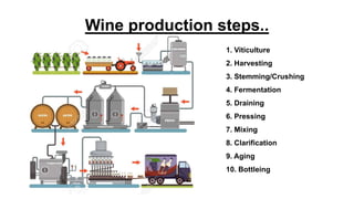 WINE PRODUCTION STEPS. | PPTX