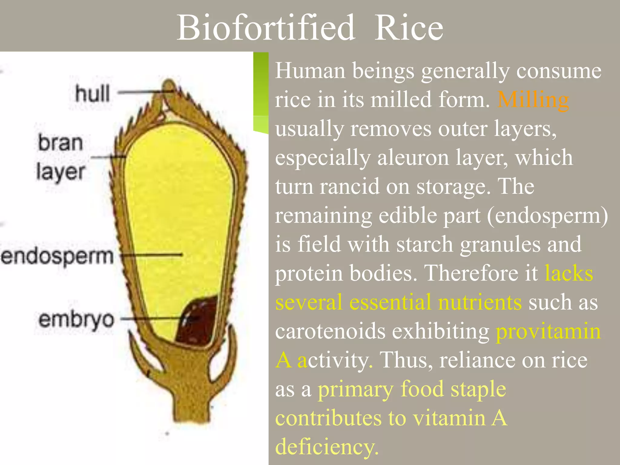 Biofortification ppt. | PPTX