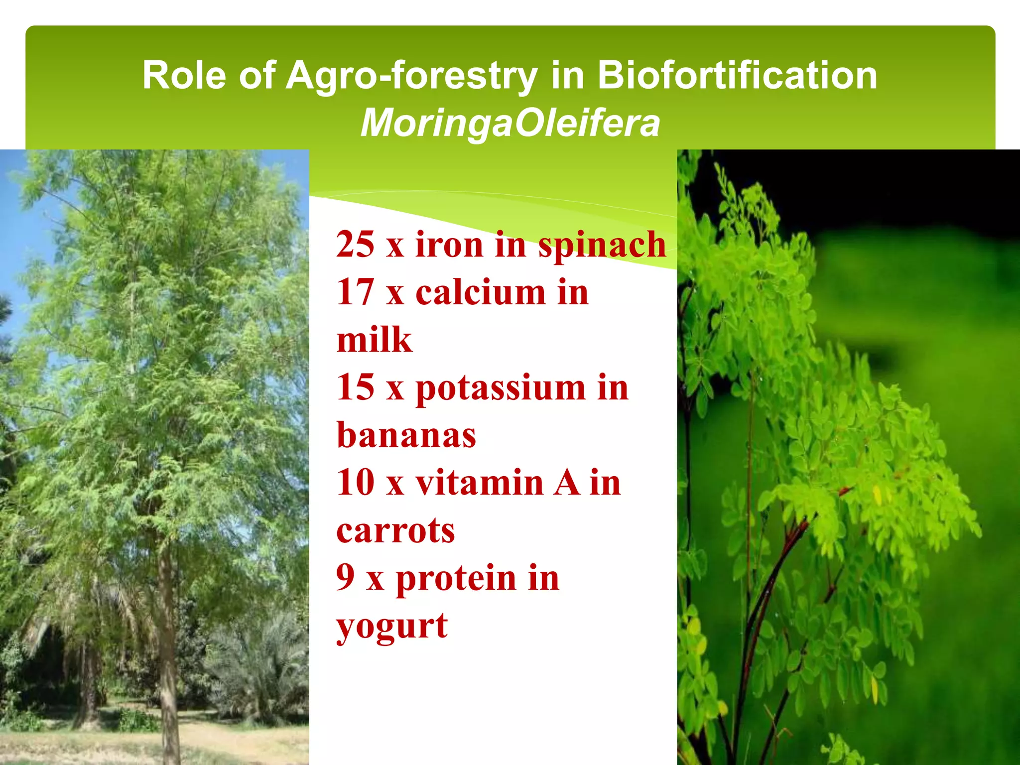 Biofortification ppt. | PPTX
