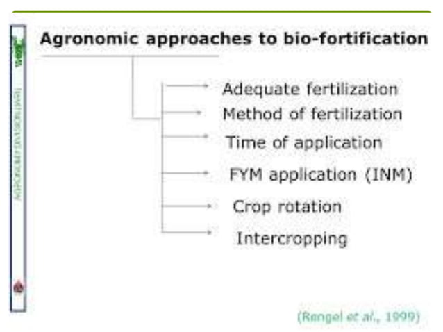 Biofortification ppt. | PPTX