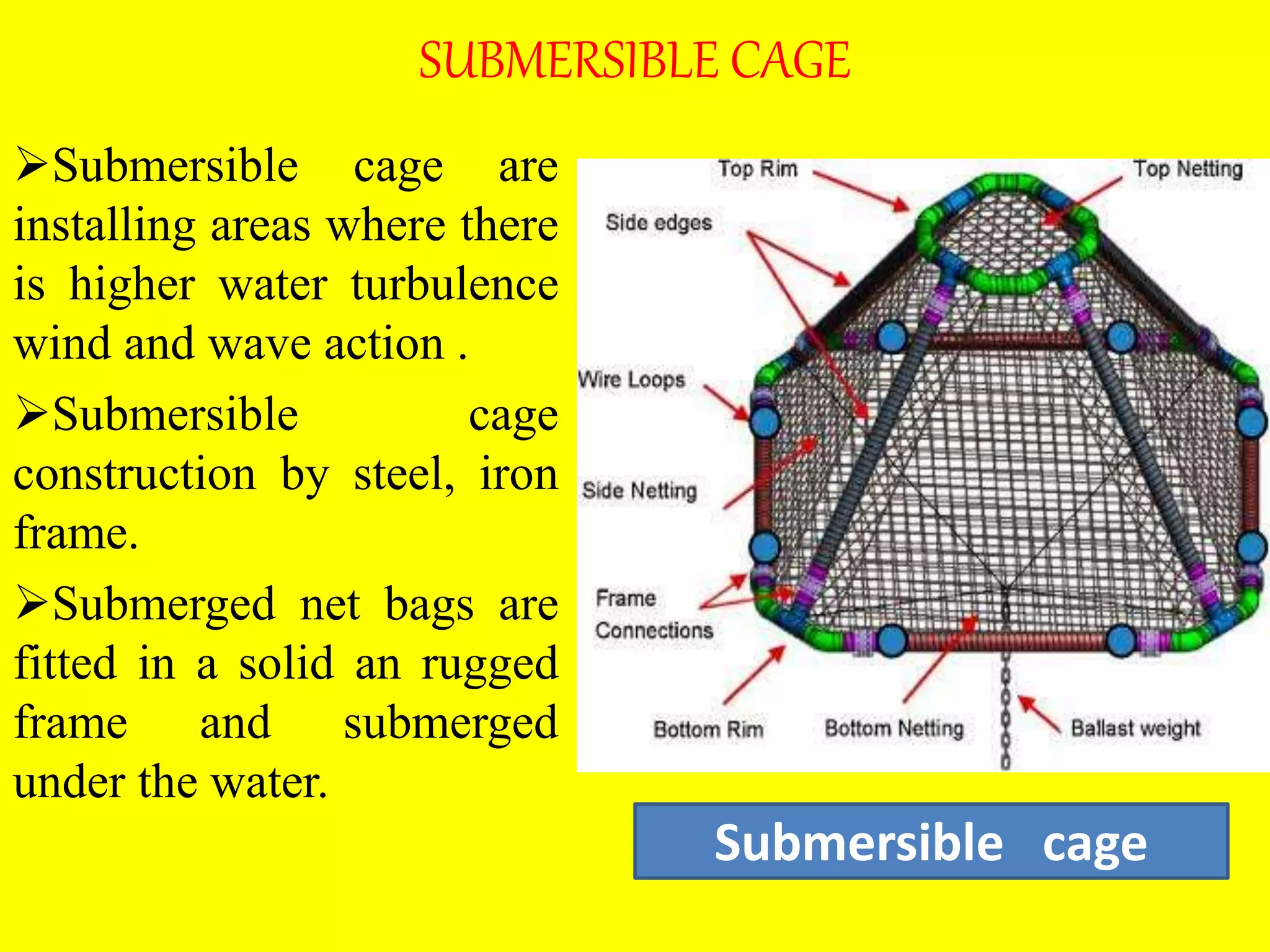 CAGE CULTURE OF FISH THEIR TREND,STATUS AND PRODUCTION | PPTX
