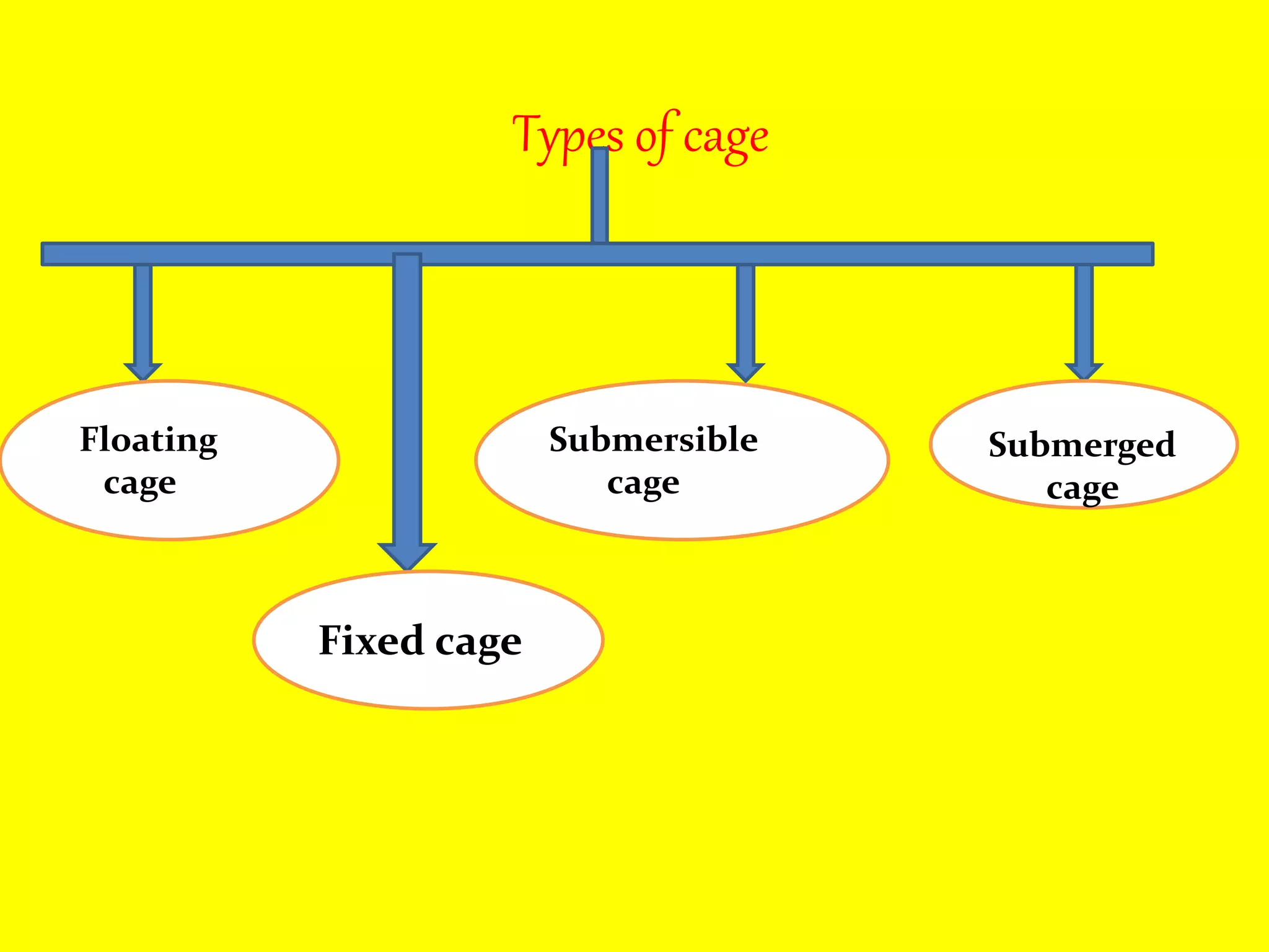 CAGE CULTURE OF FISH THEIR TREND,STATUS AND PRODUCTION | PPTX