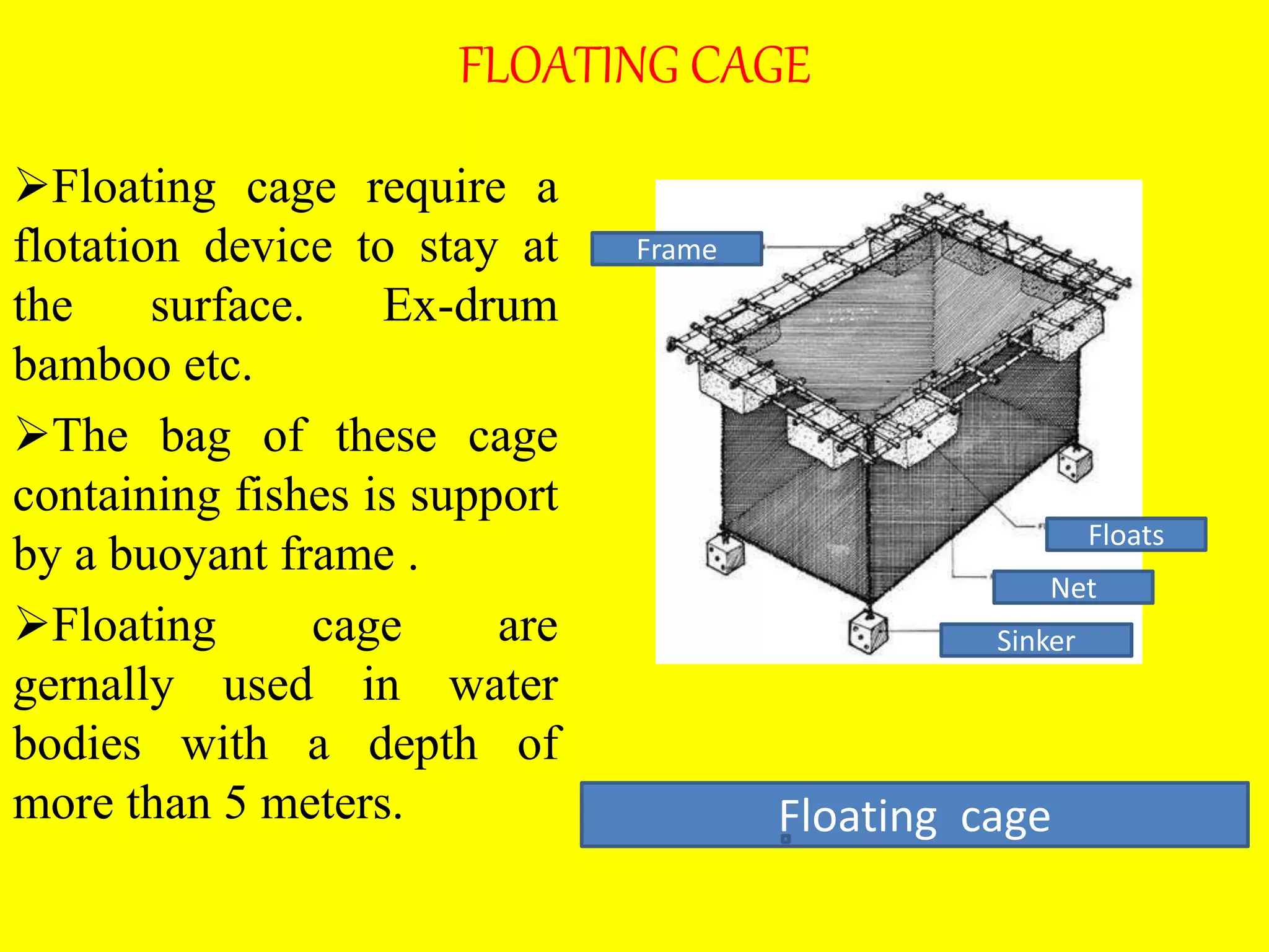 CAGE CULTURE OF FISH THEIR TREND,STATUS AND PRODUCTION | PPTX