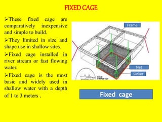CAGE CULTURE OF FISH THEIR TREND,STATUS AND PRODUCTION | PPTX