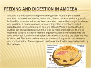 NUTRITION | PPT