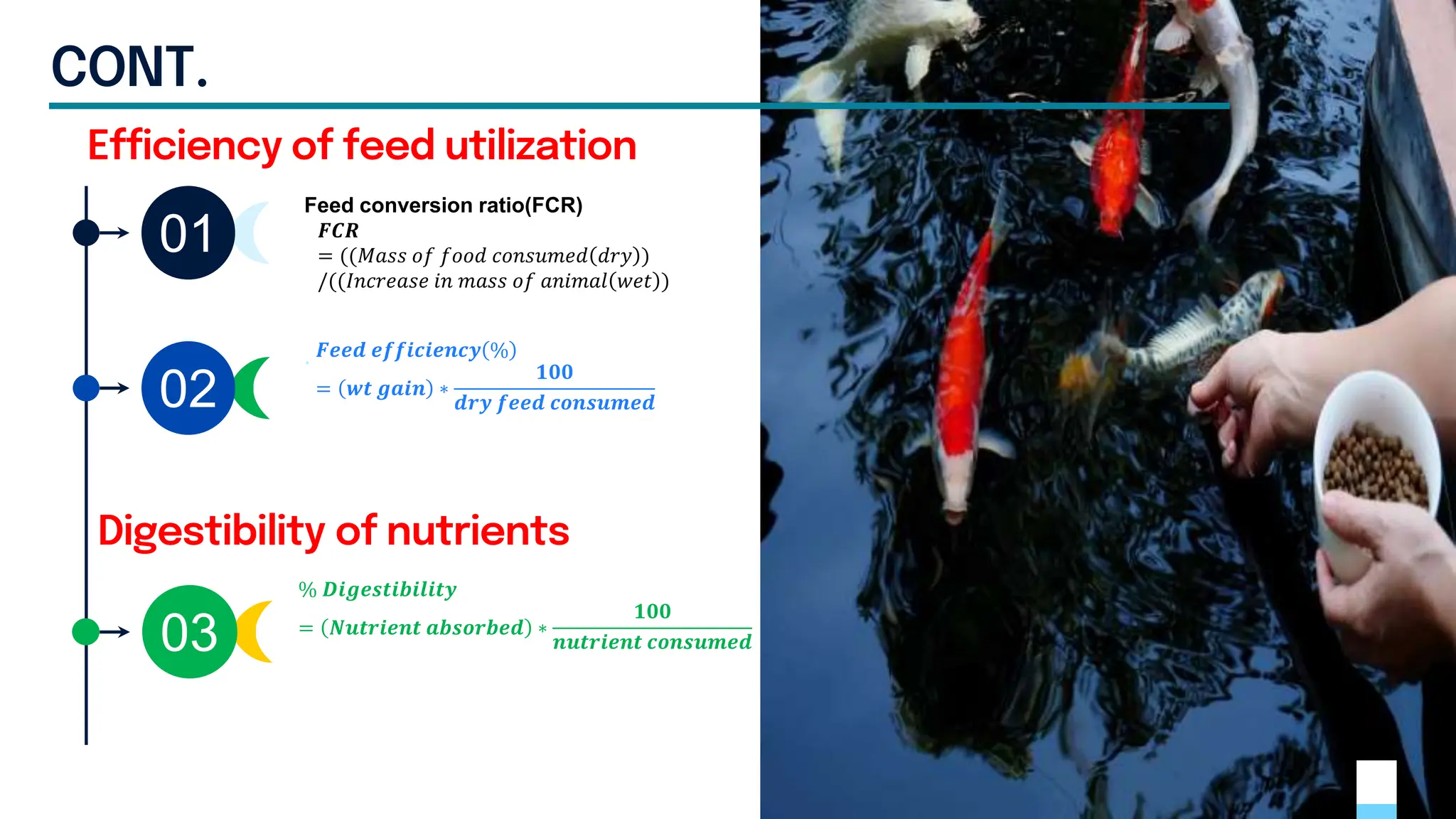 EVALUATION OF AQUAFEED INGREDIENTS AND FEED QUALITY | PPTX