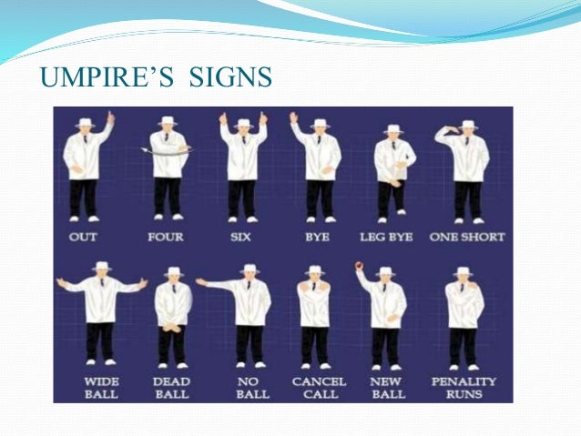 the story of cricket