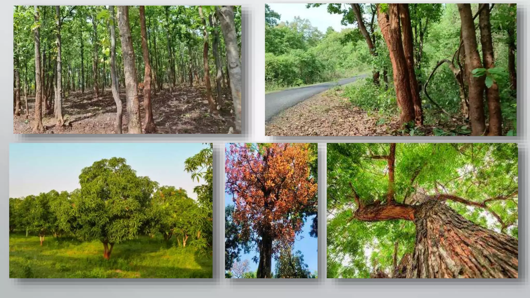GEOLOGICAL PROJECT OF BADAMPAHAR IRON ORE MINES. | PPTX