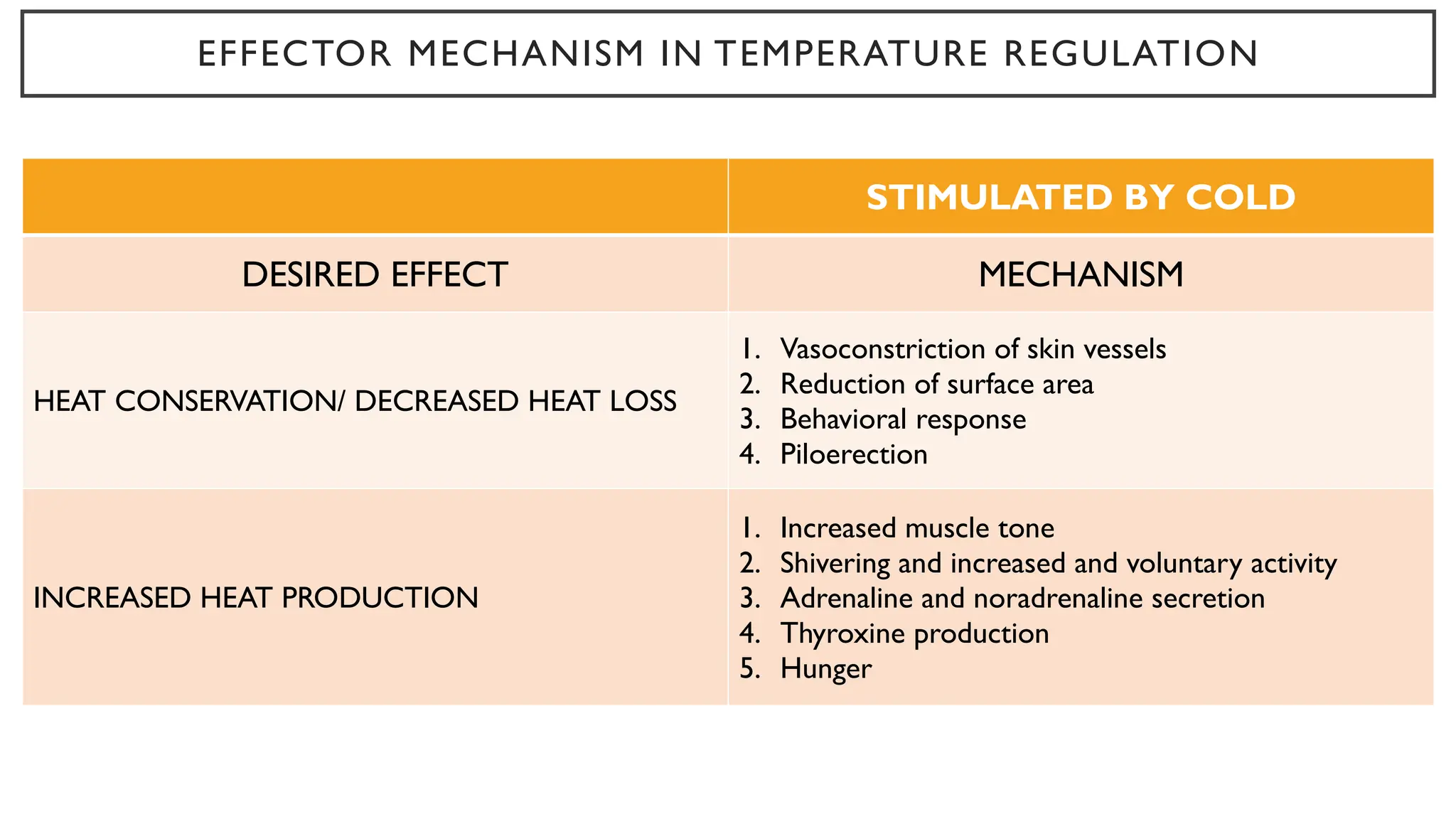 Mechanism of temperature regulation presentation | PPTX