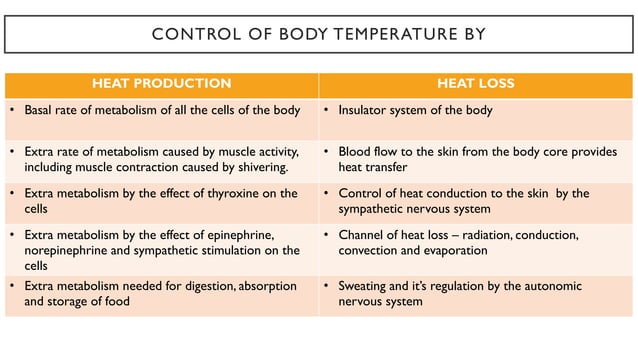 Mechanism of temperature regulation presentation | PPTX