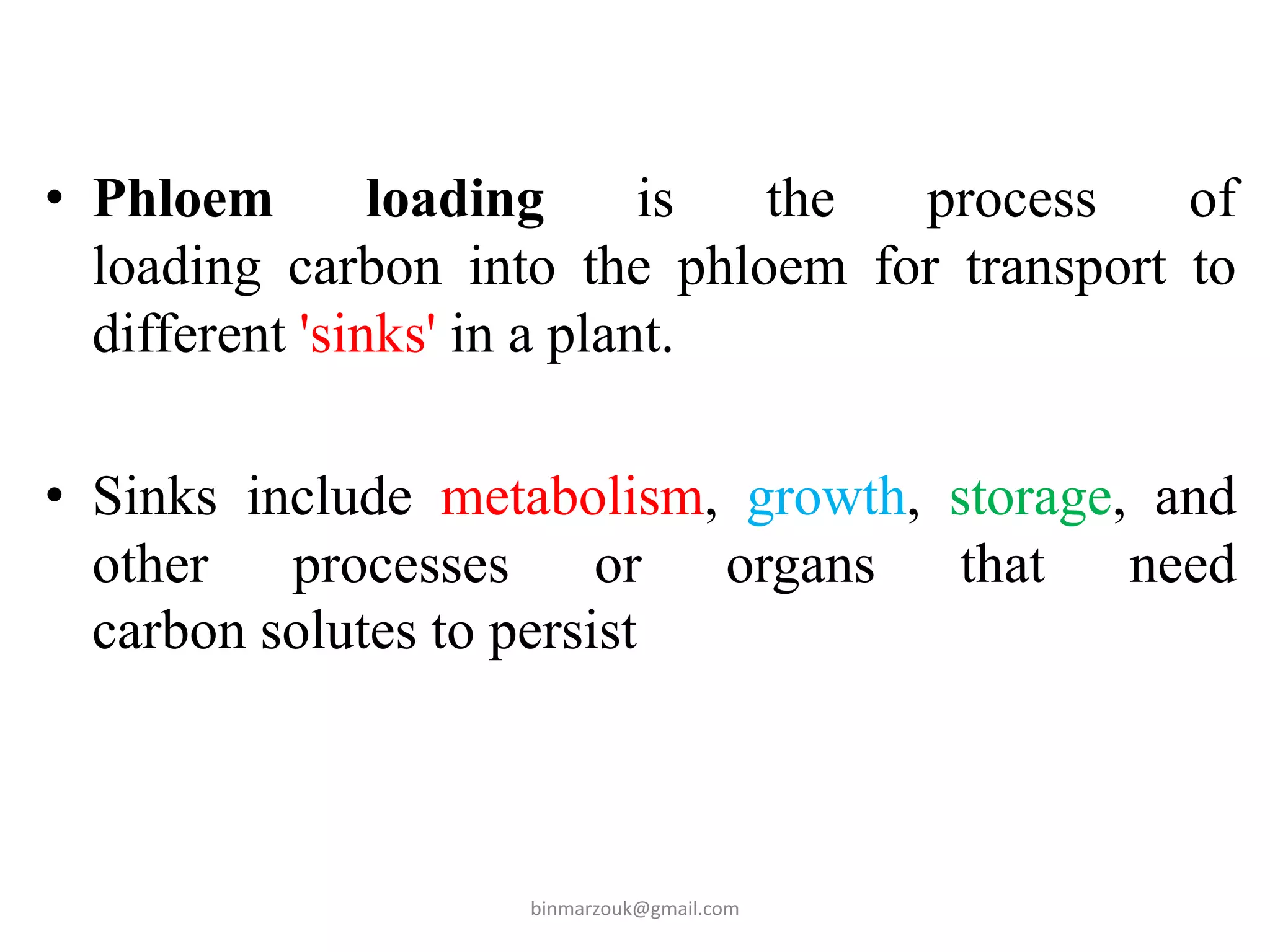 SOURCE-SINK relationship.pptx