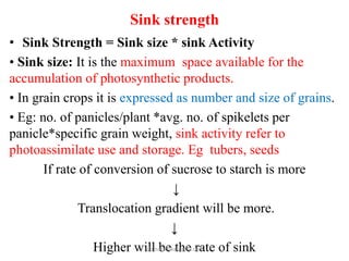 SOURCE-SINK relationship.pptx