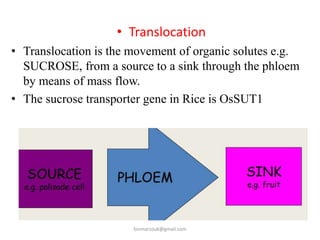 SOURCE-SINK relationship.pptx