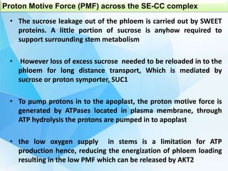 Source and sink regulation.pptx