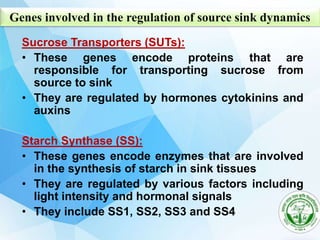 Source and sink regulation.pptx