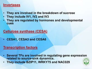 Source and sink regulation.pptx