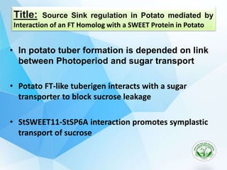 Source and sink regulation.pptx