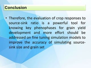Source and sink regulation.pptx