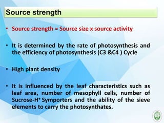 Source and sink regulation.pptx