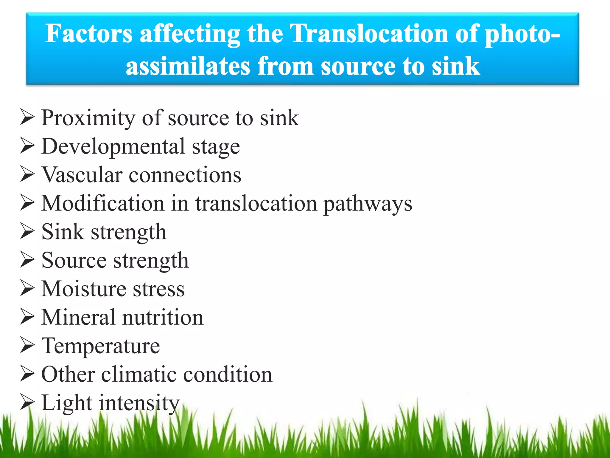 Source and sink relationship pptx.pptx
