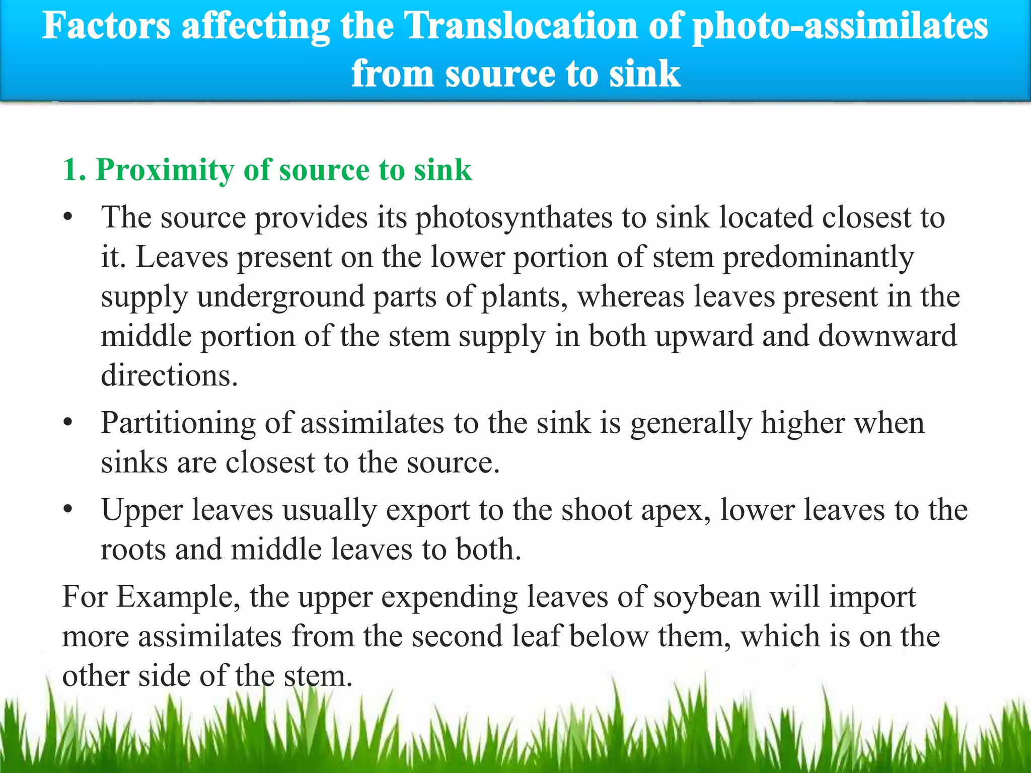 Source and sink relationship pptx.pptx