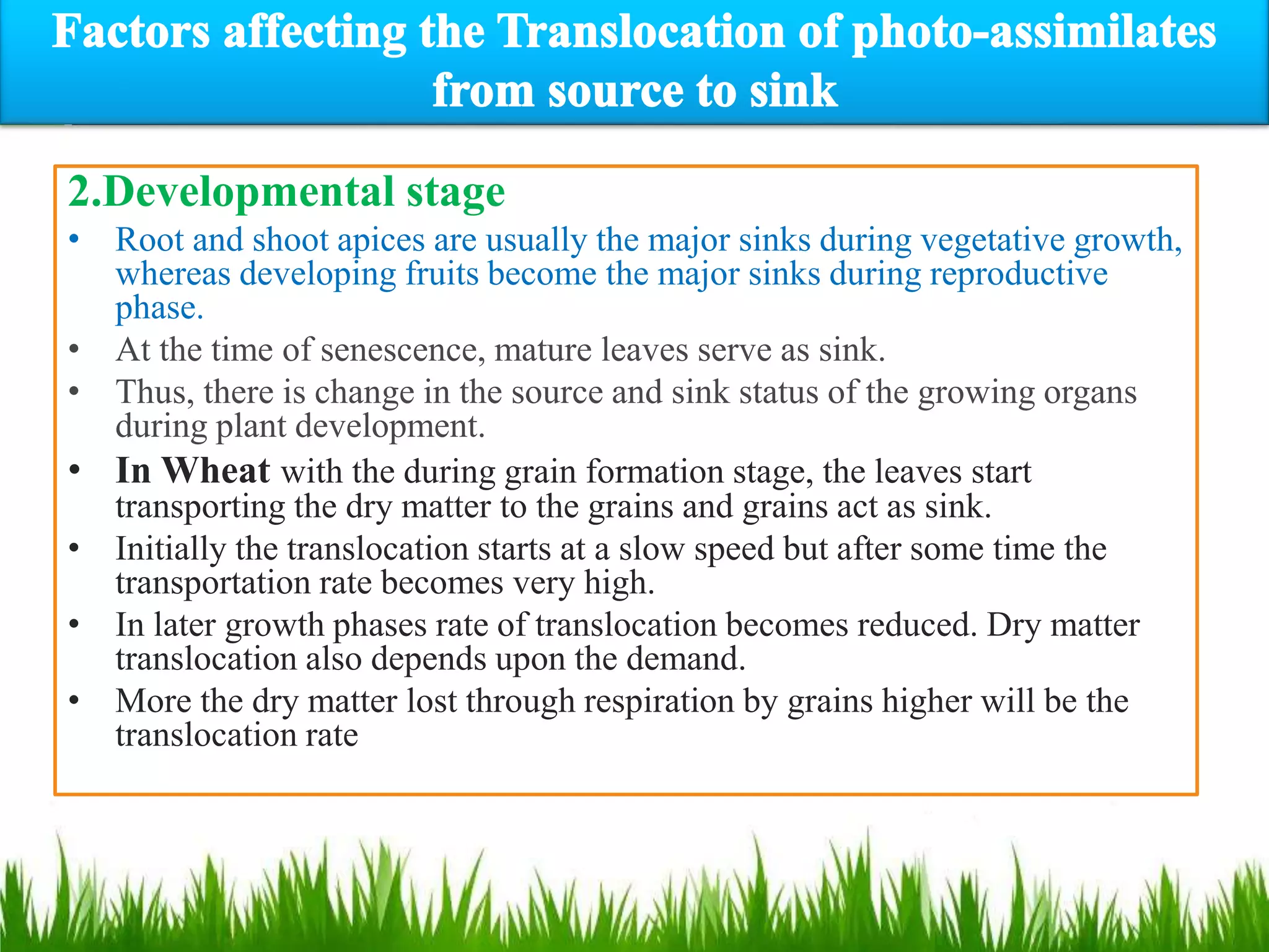 Source and sink relationship pptx.pptx
