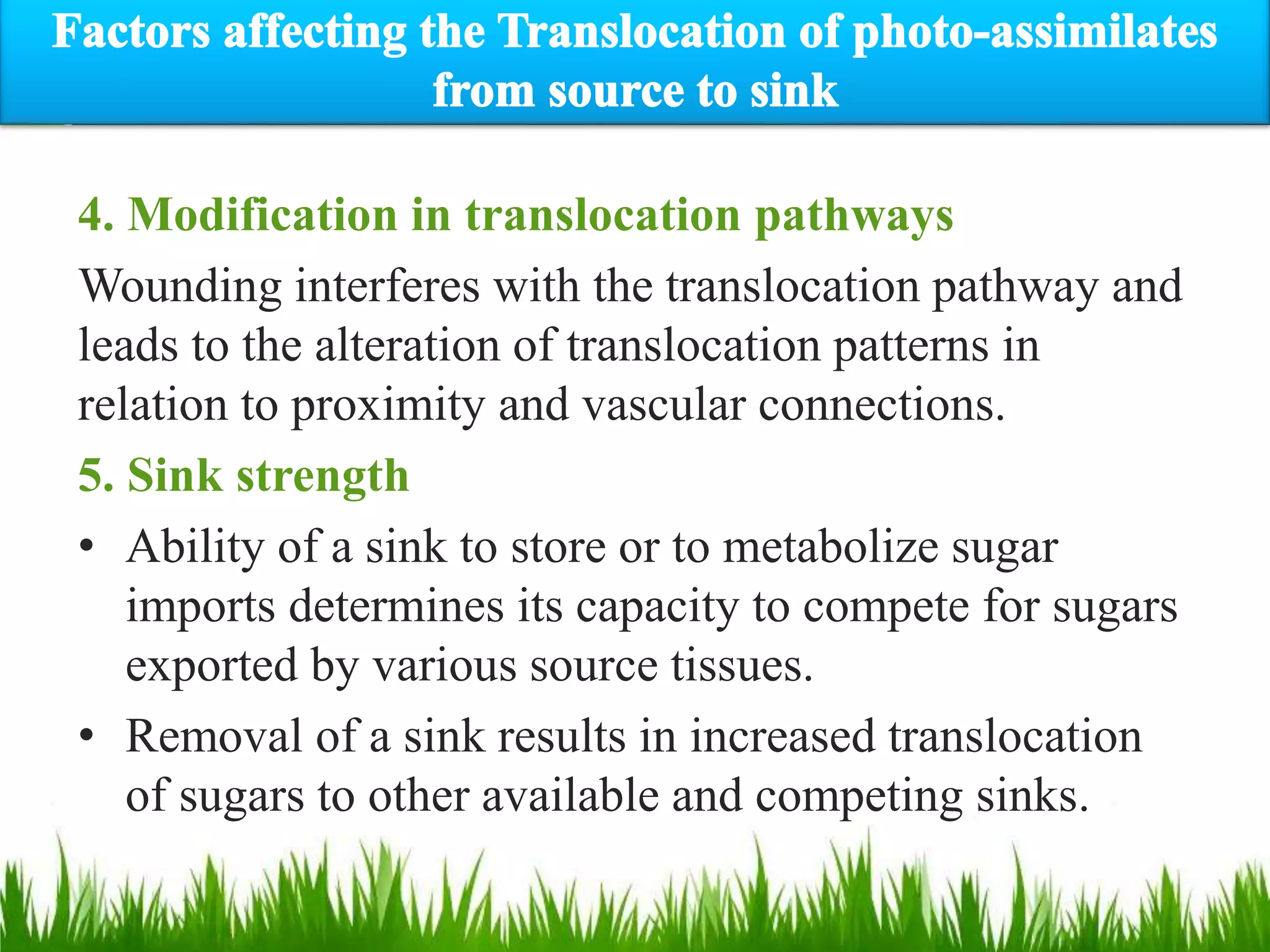 Source and sink relationship pptx.pptx