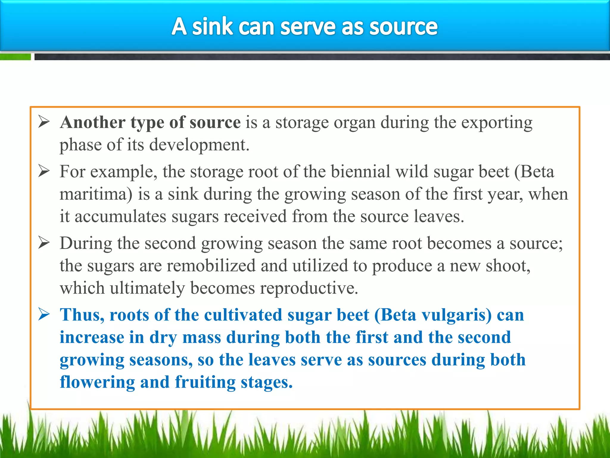 Source and sink relationship pptx.pptx