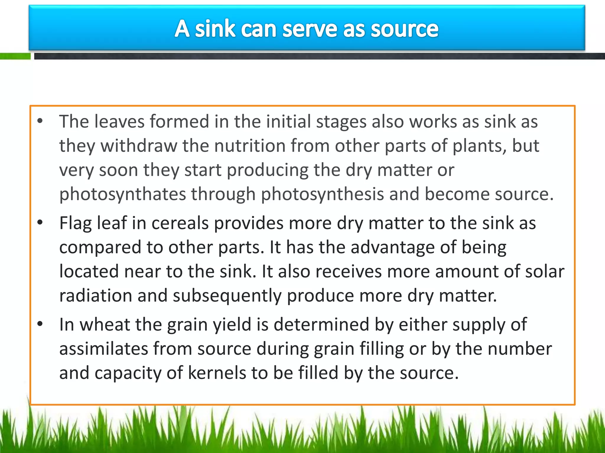 Source and sink relationship pptx.pptx