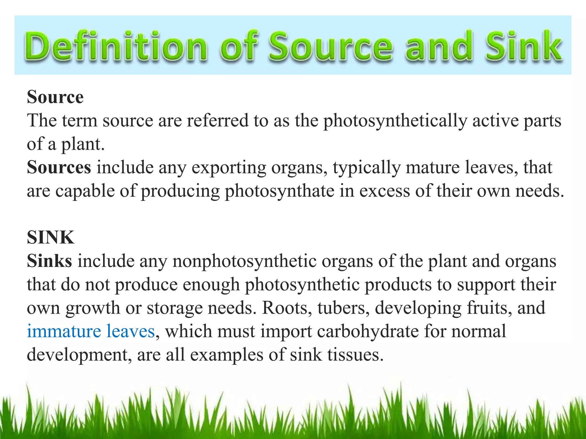 Source and sink relationship pptx.pptx