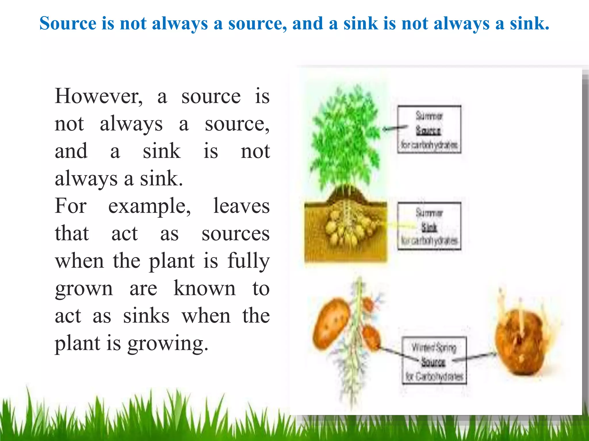 Source and sink relationship pptx.pptx