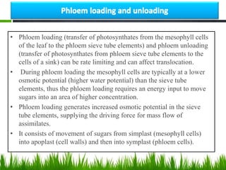 Source and sink relationship pptx.pptx