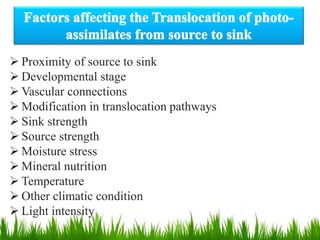 Source and sink relationship pptx.pptx