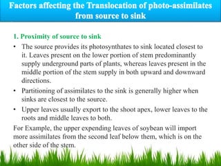 Source and sink relationship pptx.pptx